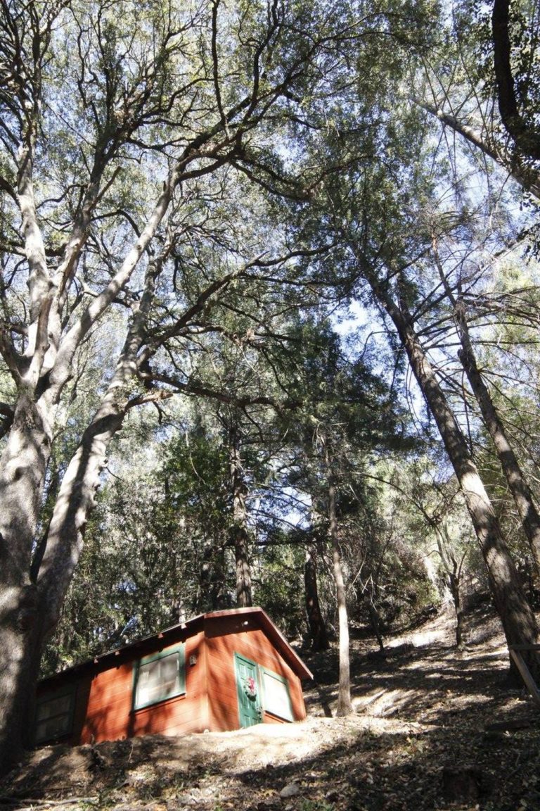 Lodging at Camp – Sturtevant Camp