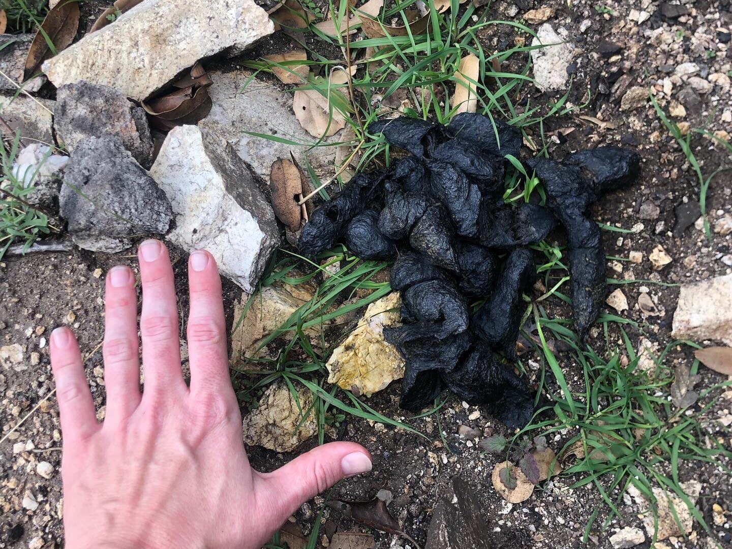 More Hiking & More Digging – Sturtevant Camp