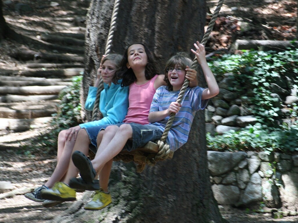 News from Camp | Sturtevant Camp