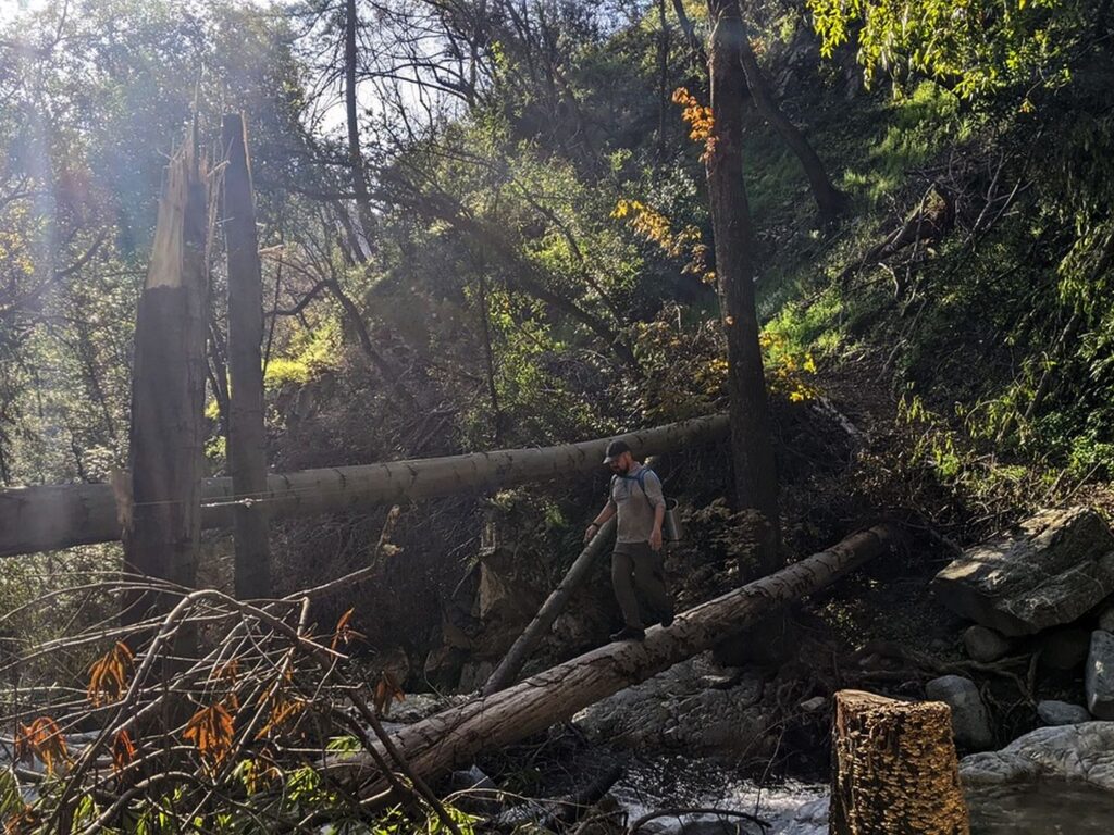 News from Camp | Sturtevant Camp