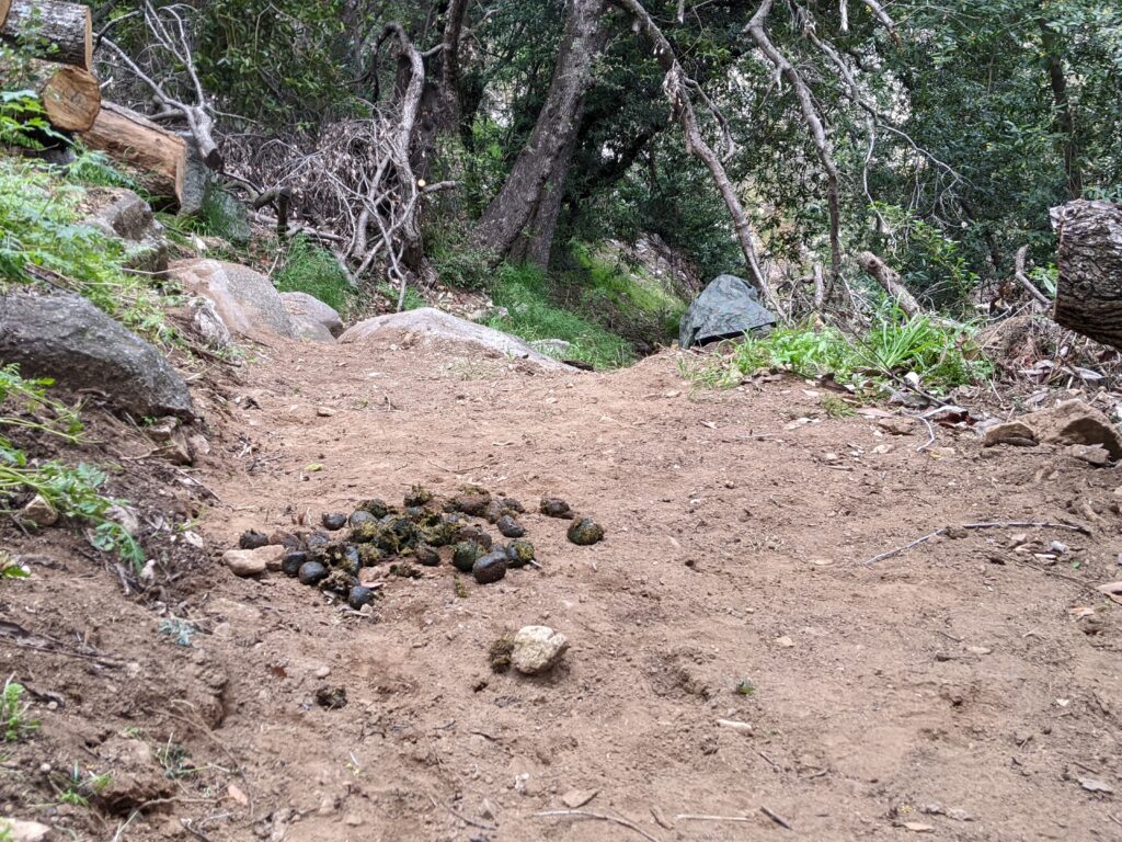 News from Camp – Sturtevant Camp